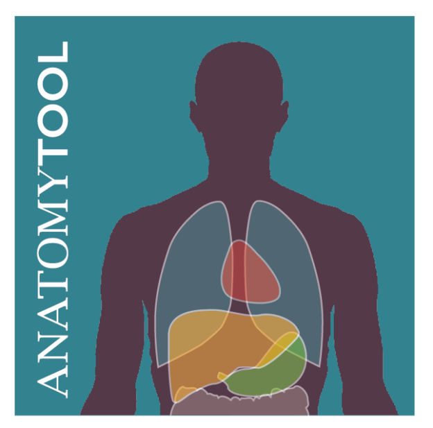 AnatomyTOOL – Nederlandse Anatomen Vereniging